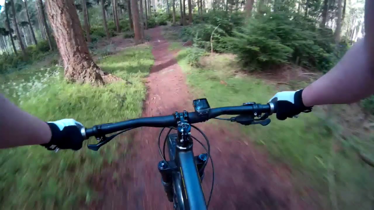 Shouldham Warren, Norfolk - YouTube