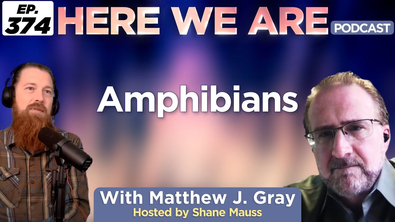 Amphibians | Here We Are Podcast Ep. 374 w/ Matthew J. Gray | Hosted by ...