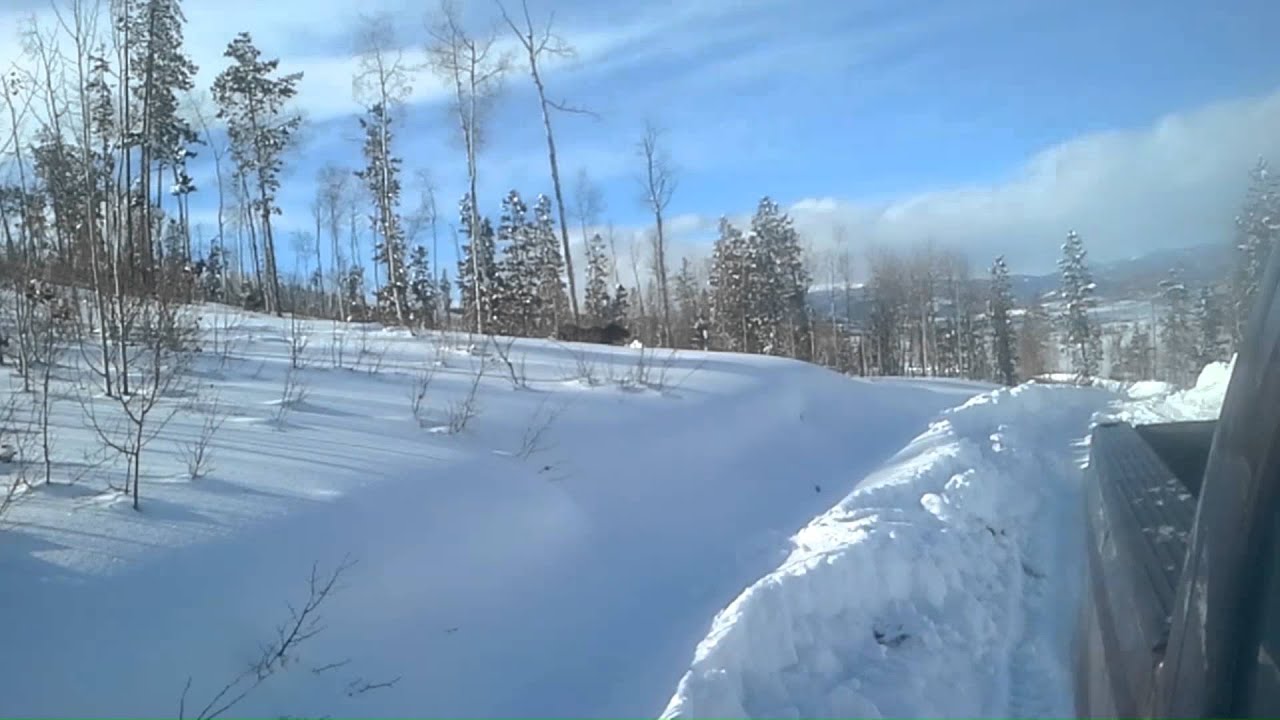 Moose Running in the Snow - YouTube