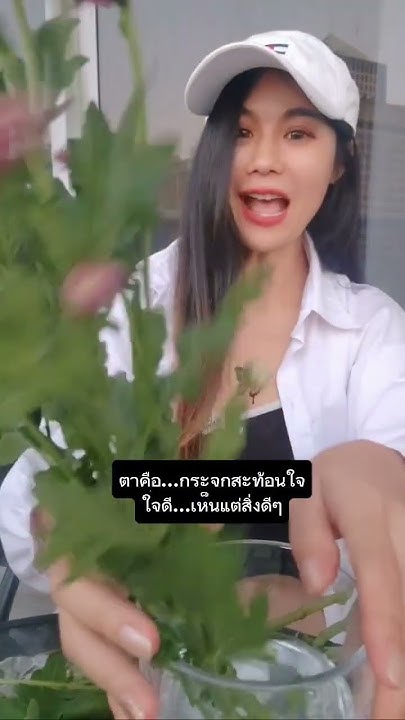 #ตา #กระจกสะท้อนใจ #ใจดี #เห็นแต่สิ่งดีๆ #ศาสตร์แห่งการปรนเปรอตัวเอง #kattangelofgod # ...
