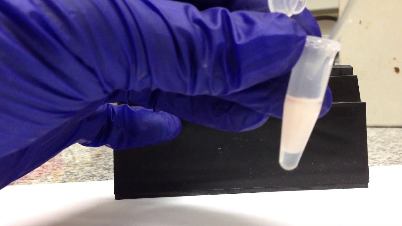 Pure Exosome Isolation Kit part 2 of 3 - YouTube
