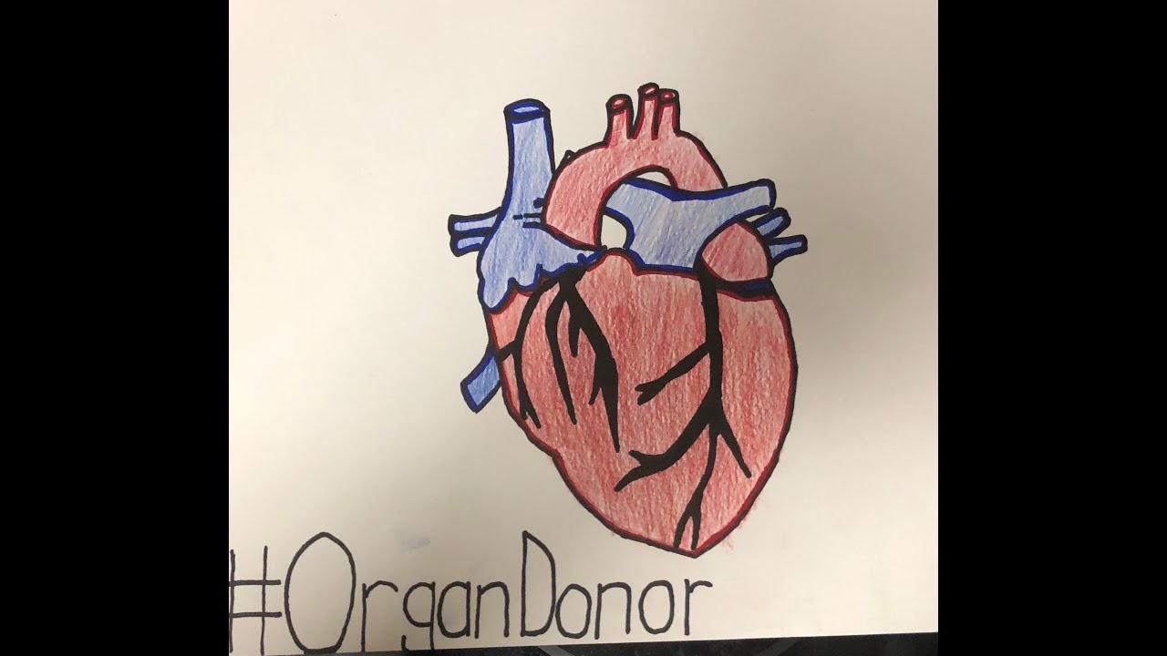 Donate Life (A Journey to a New Heart) - YouTube