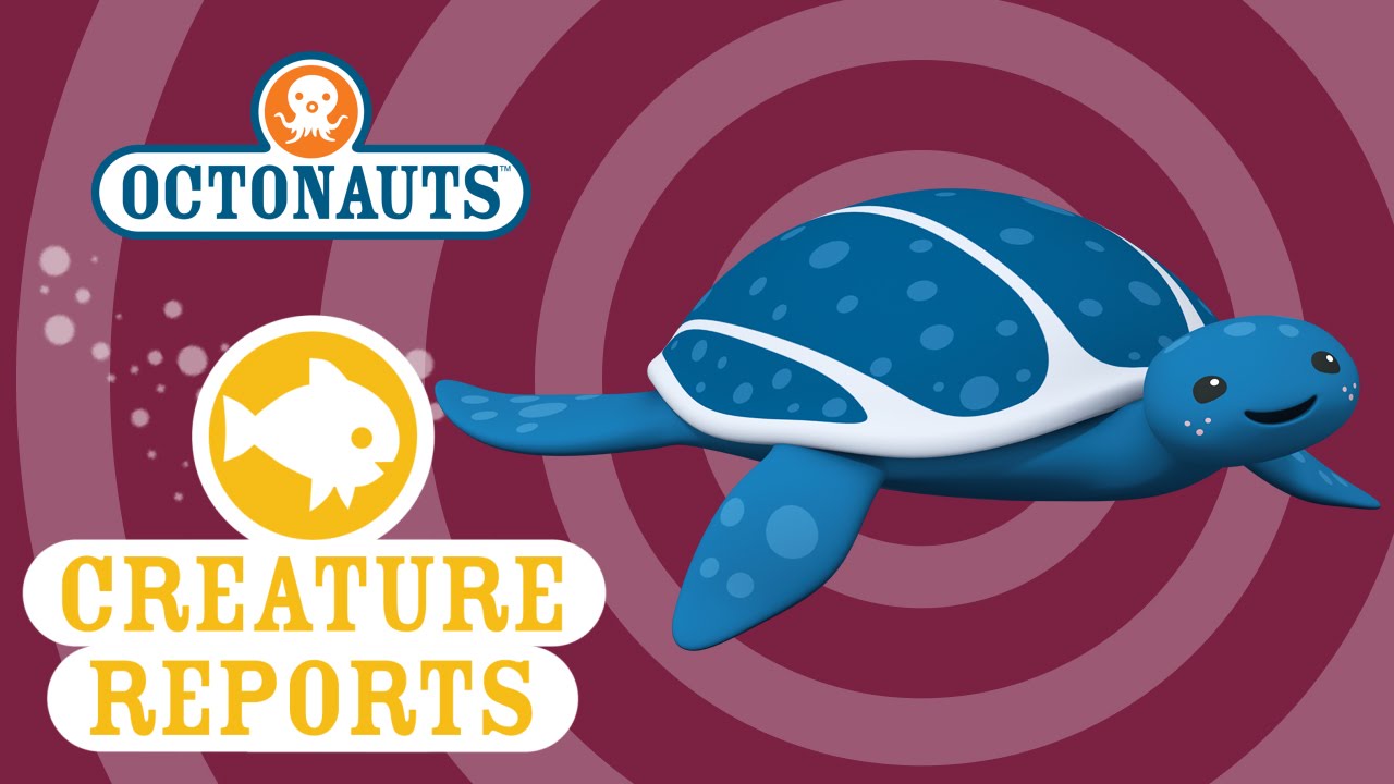 Octonauts: Creature Reports - Leatherback Turtles - YouTube