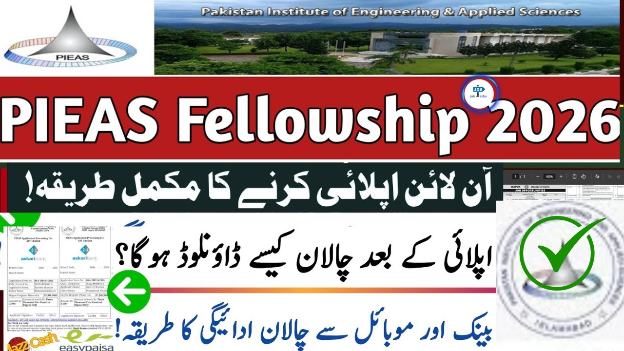 How to apply for PIEAS MS Fellowship|PIEAS admission 2026 apply online ...
