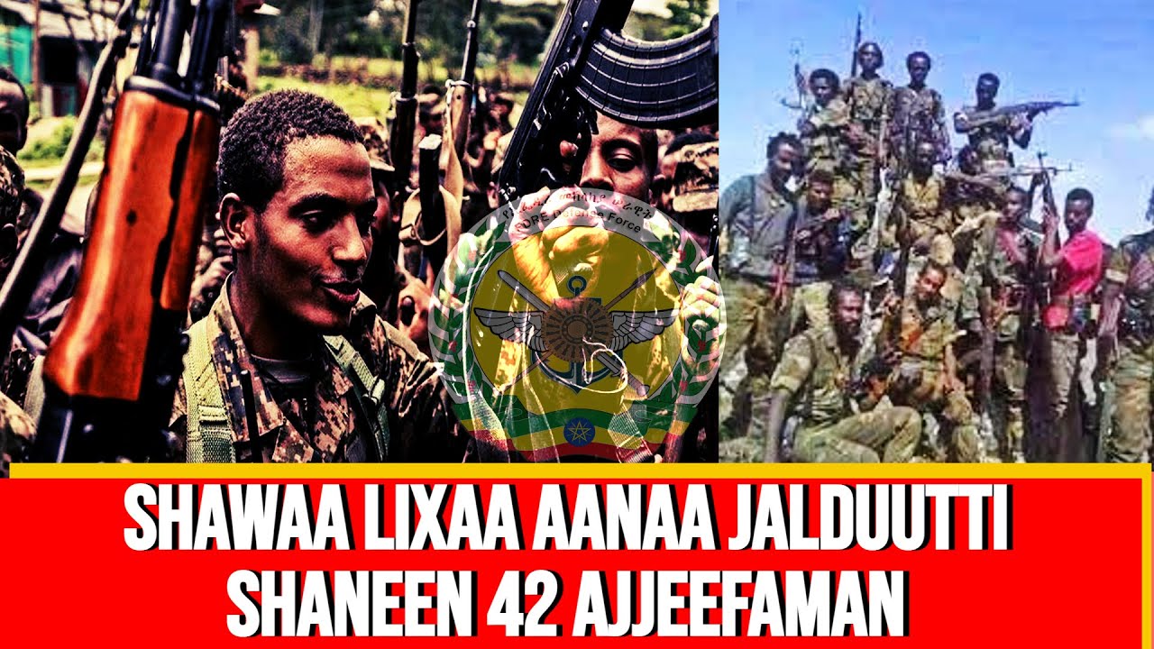 Shawaa Lixaa Aanaa Jalduutti shaneen 42 ajjeefaman - YouTube