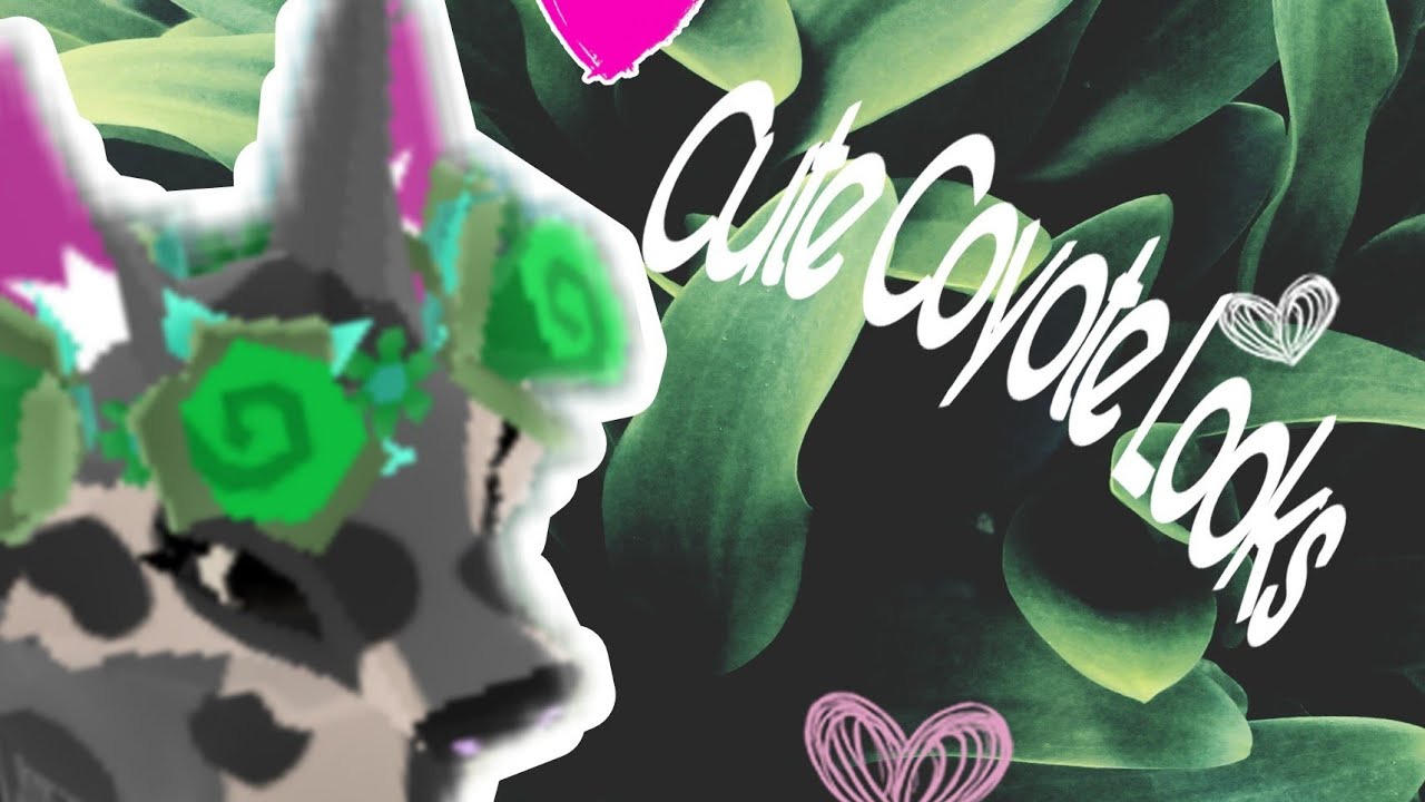 Ajpw cute coyote looks - YouTube