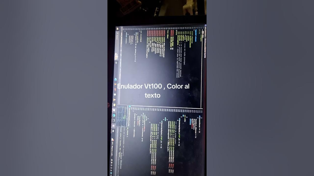Vt100 Emulador en lenfuage c GDI - YouTube