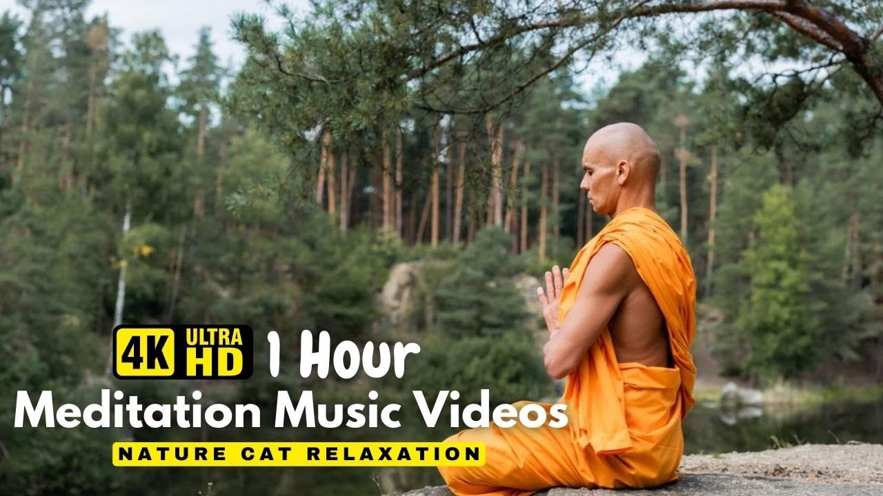 🔴 Relaxing Zen Music, Healing Music, Meditation Music, Spa Music, Sleep ...