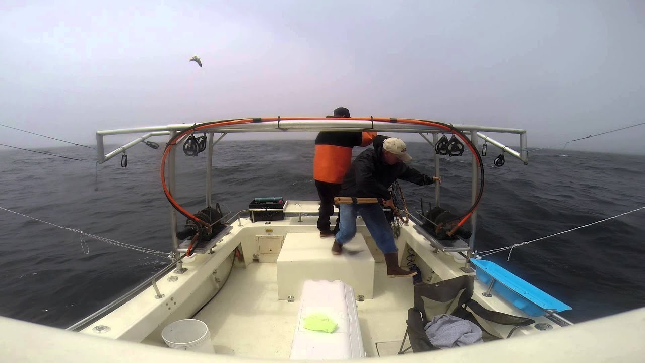 California commercial salmon trolling - YouTube