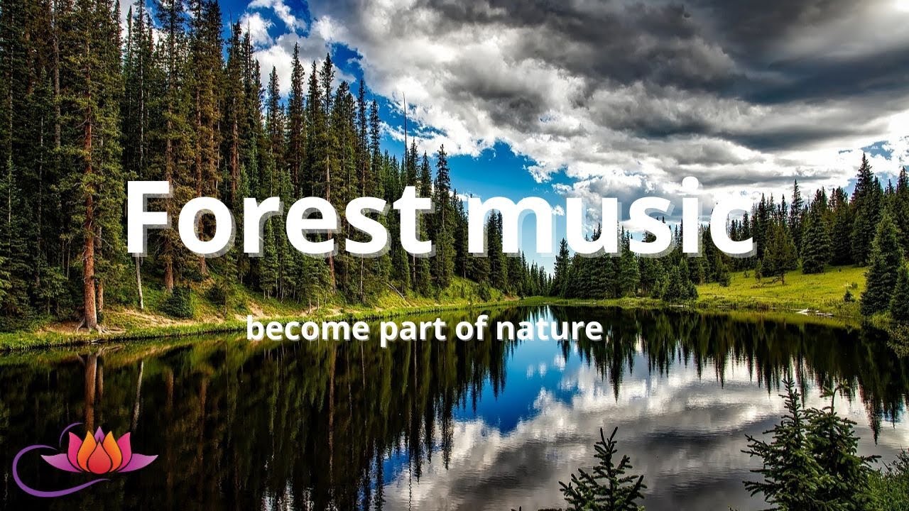 Calming forest music.Music for meditation, sleep and good mood! - YouTube