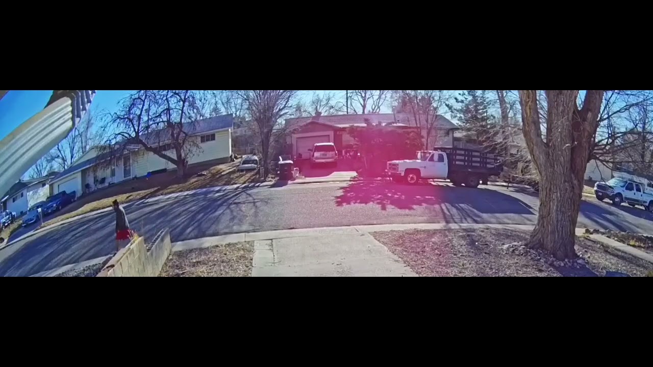 Morning Stalker - YouTube