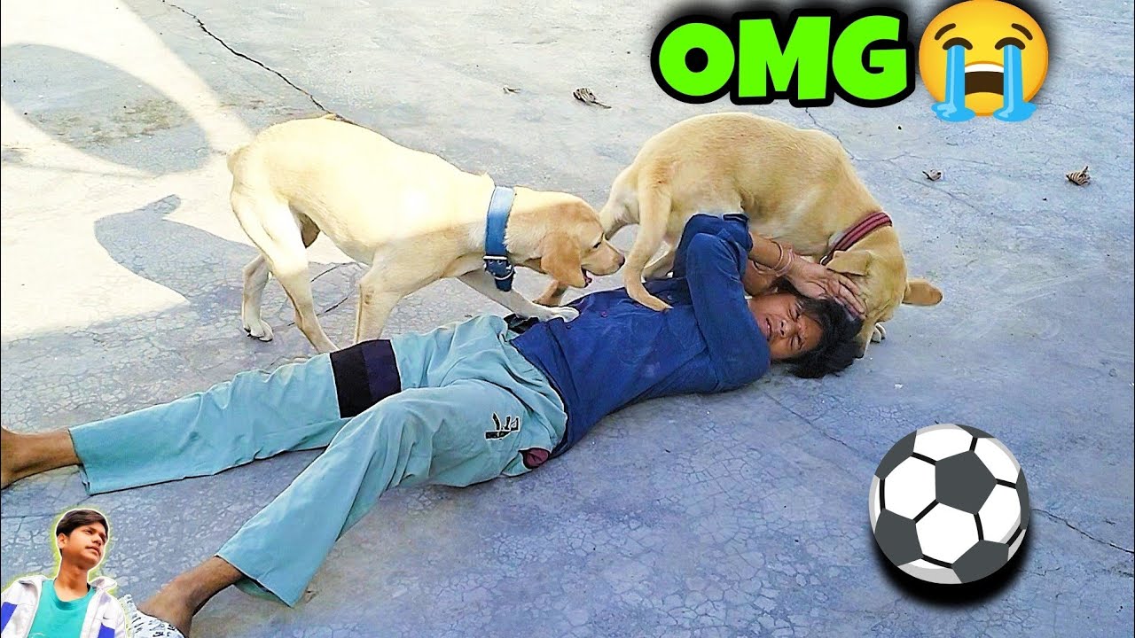 FAKE DEAD PRANK ON MY DOG 🐕|| SO EMOTIONAL REACTION 😭 - YouTube