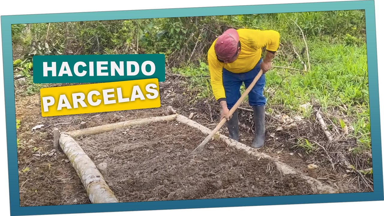 Así hago mi parcela para sembrar mis verduras - YouTube