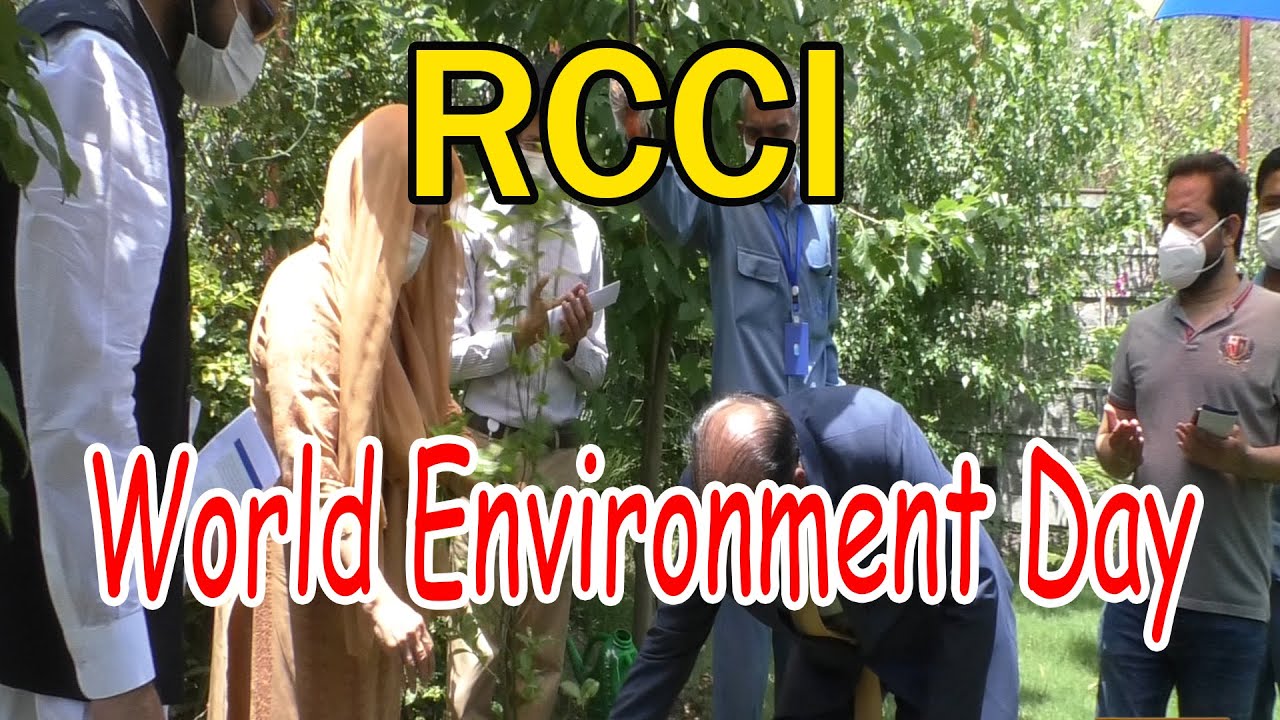 RCCI World Environment Day l Haq News - YouTube