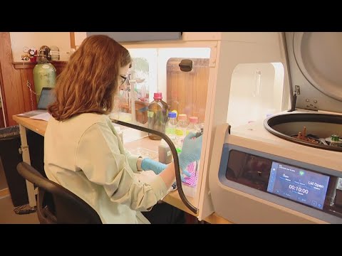 Maine's first lab accredited to test 'forever chemicals' is expanding ...