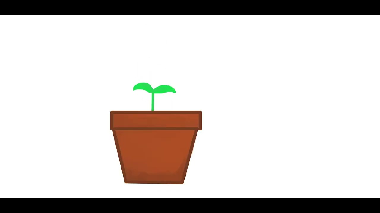 growing a seed #animation project - YouTube