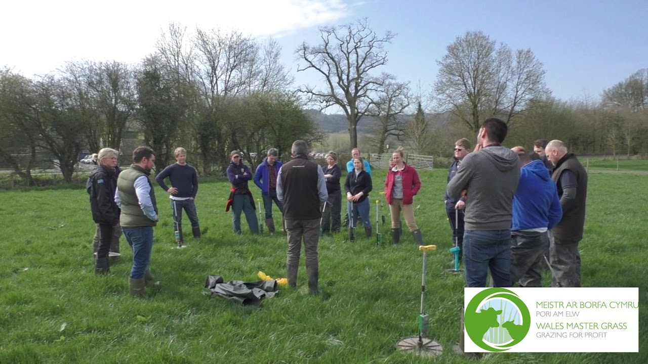 Meistr ar Borfa Cymru (fersiwn llawn) / Master Grass (full version ...