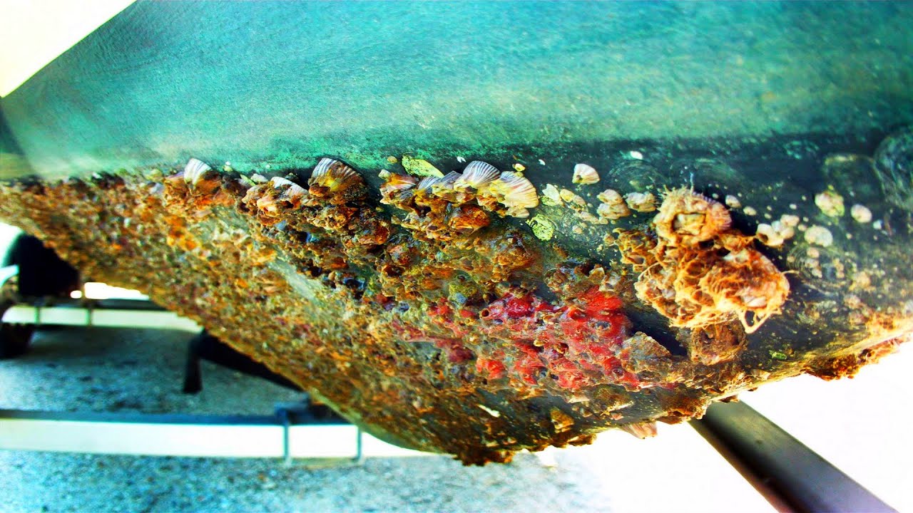 Extreme Barnacle Blasting and Removal ships and boats-part 1 - YouTube
