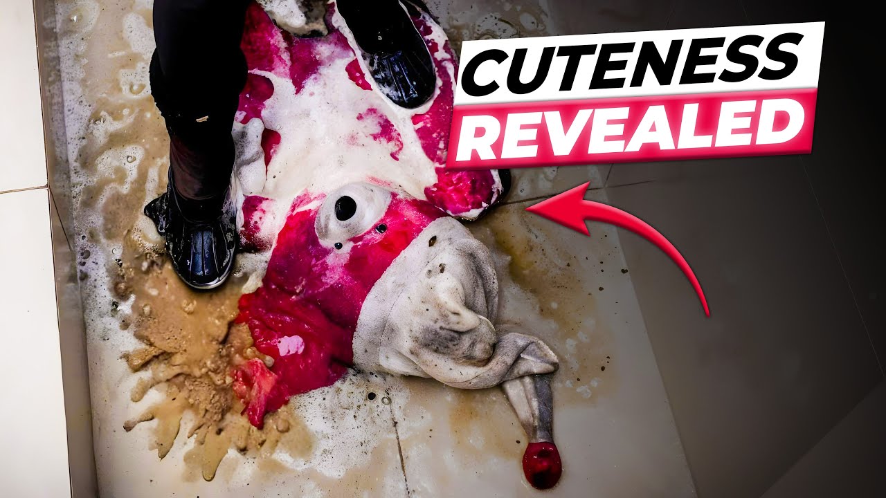 MUDDY Teddy Deep CLEAN: ODDLY Satisfying ASMR! - YouTube