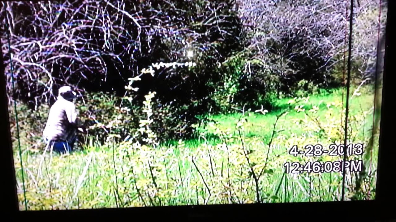 Dad tom deven - YouTube