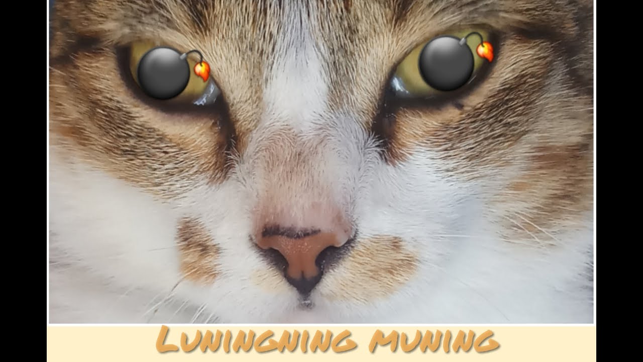 luningning muning my collection photos shot 2020 & 2021 - YouTube