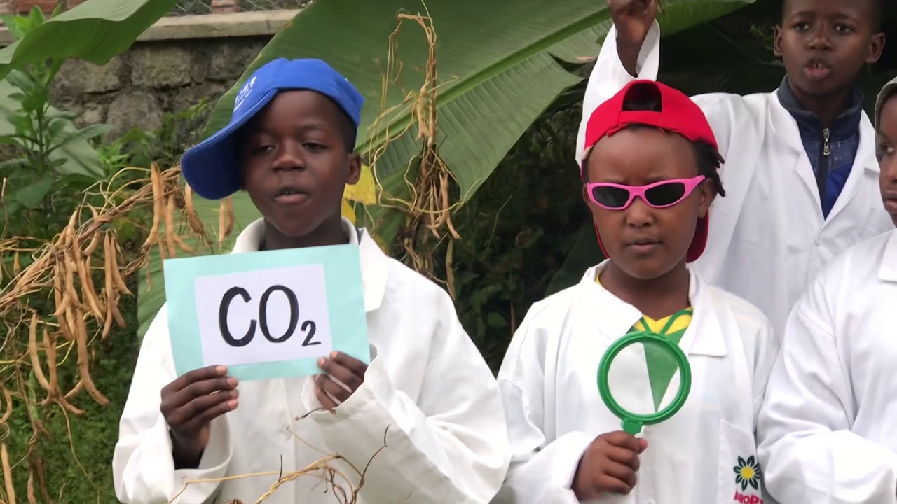 3rd Grade Photosynthesis Rap - YouTube