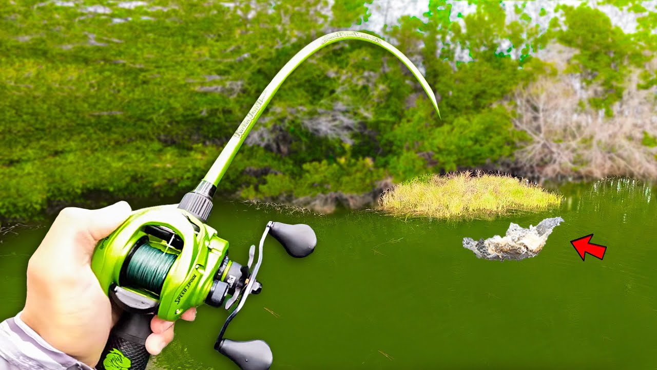 Fishing BIG Swimbaits for 15lb Bass in HIDDEN Trophy Pond! - YouTube