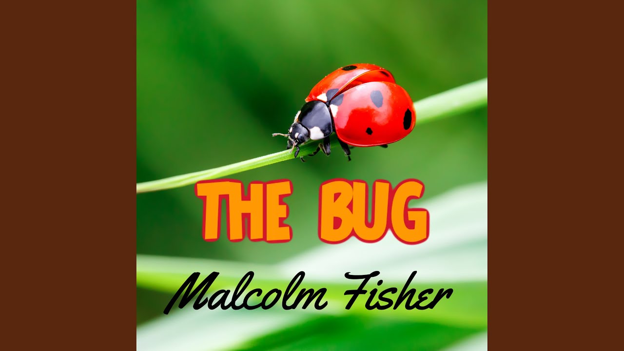The Bug - YouTube