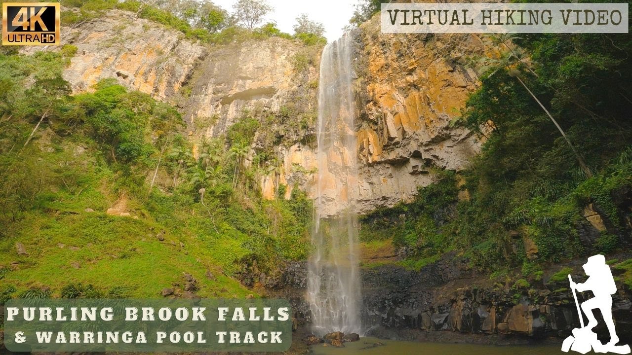 Exploring the AWESOME Purling Brook Falls & Warringa Pool Track ...