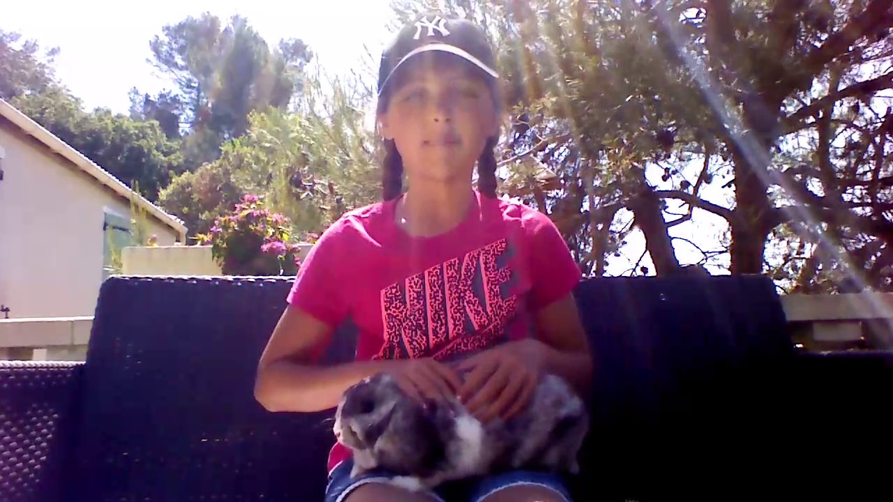 LES LAPINS NE SONT PAS DES RONGEURS!!!!!!!!! -LEA ET SES ANIMAUX ...