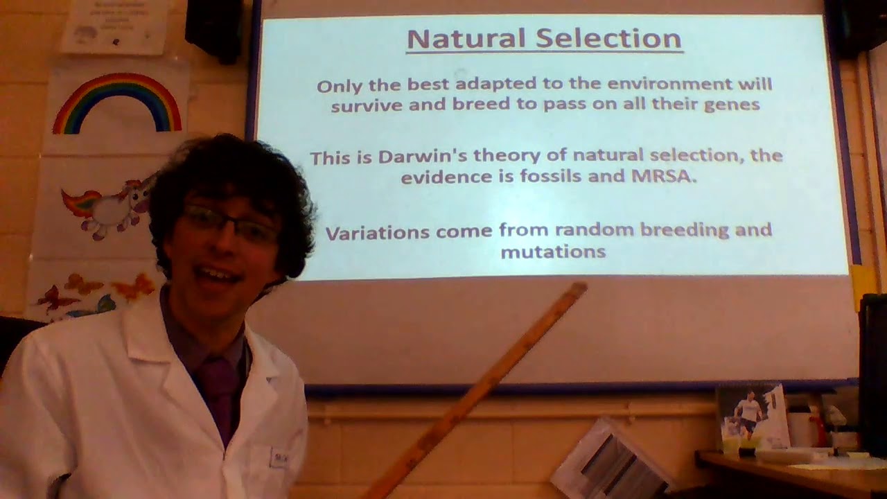 What is natural selection song - YouTube