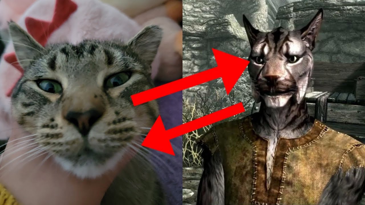 Making My Cat In The Elder Scrolls V: Skyrim - YouTube