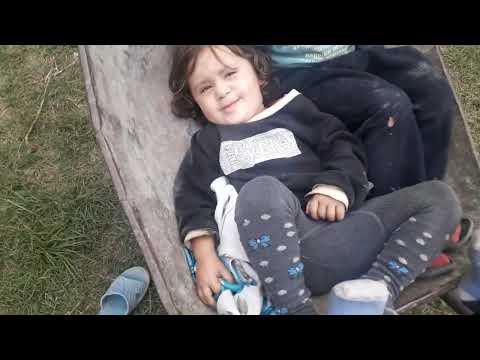 Zehra-Eli-Nigar (6 avqust 2019) #2