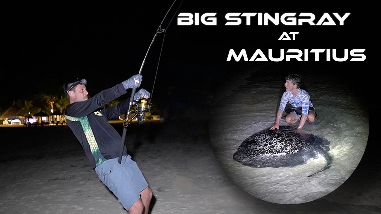 Monster Stingray fishing in Paradise! 🐟 Fishing at Mauritius with ...