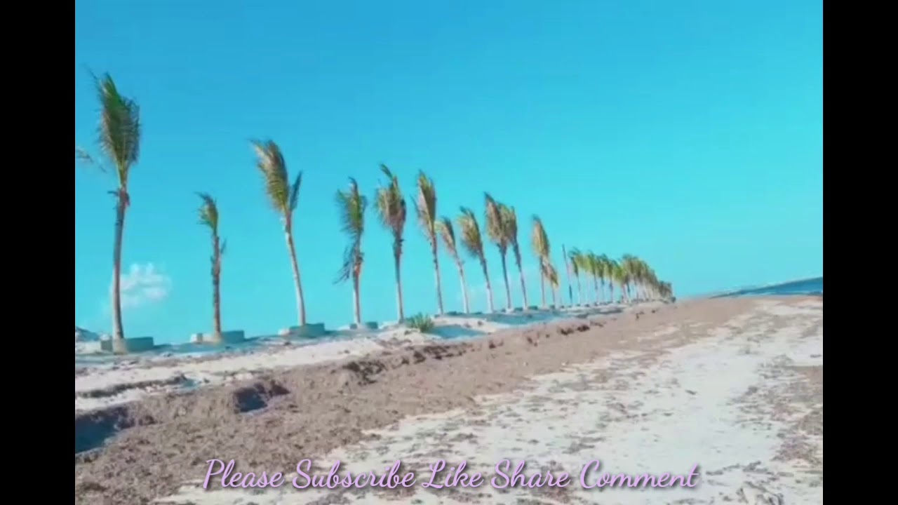 Best Vlogs - YouTube