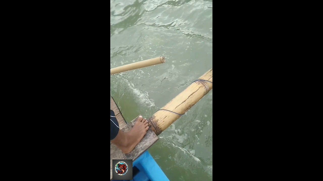 DERMAGA DHELON PACITAN || UMPAN SPON || BABY GIANT TRAVELY - YouTube