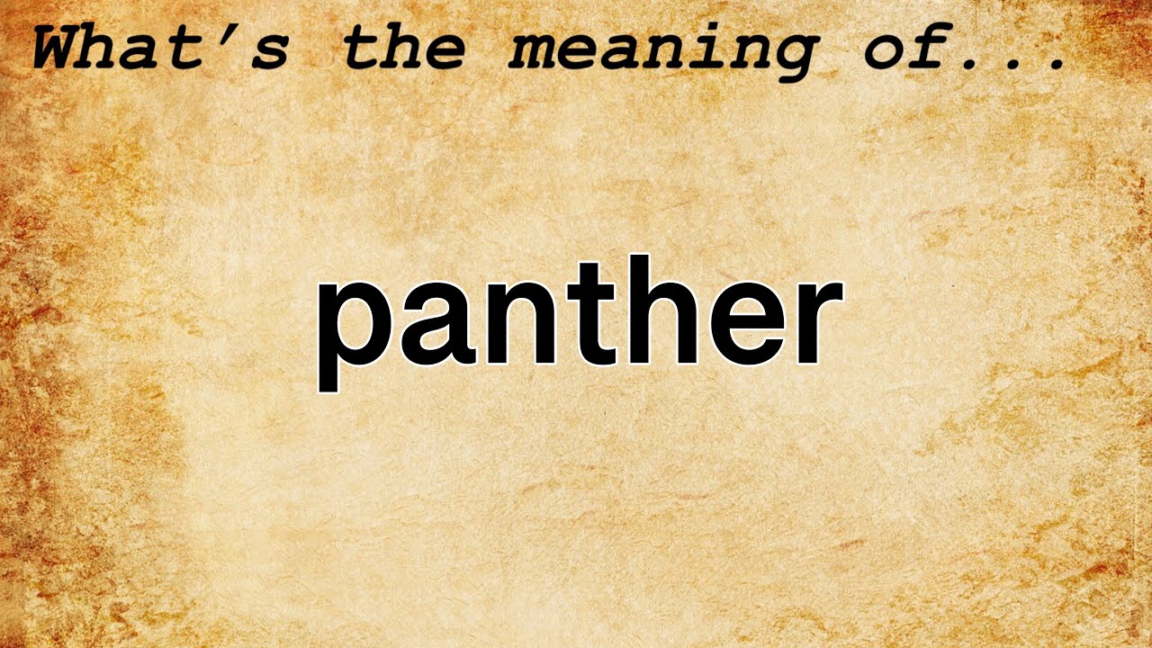 Panther Meaning | Definition of Panther - YouTube
