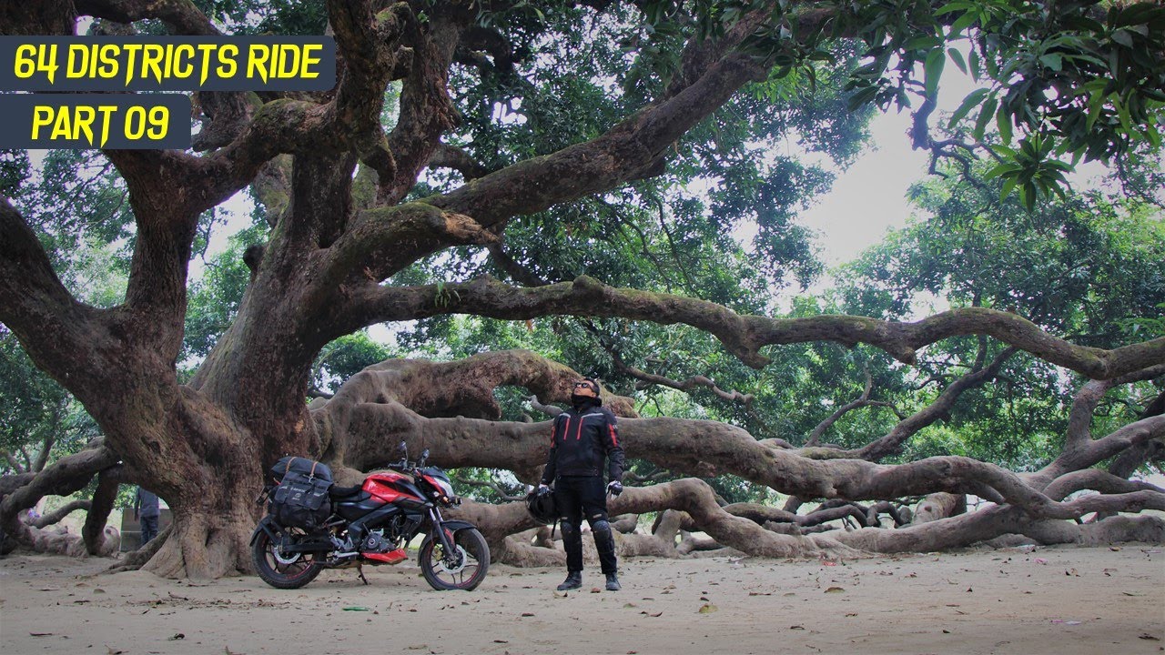 THE 200 YEARS OLD MANGO TREE OF THAKURGAON || 64 DISTRICTS TOUR || PART ...