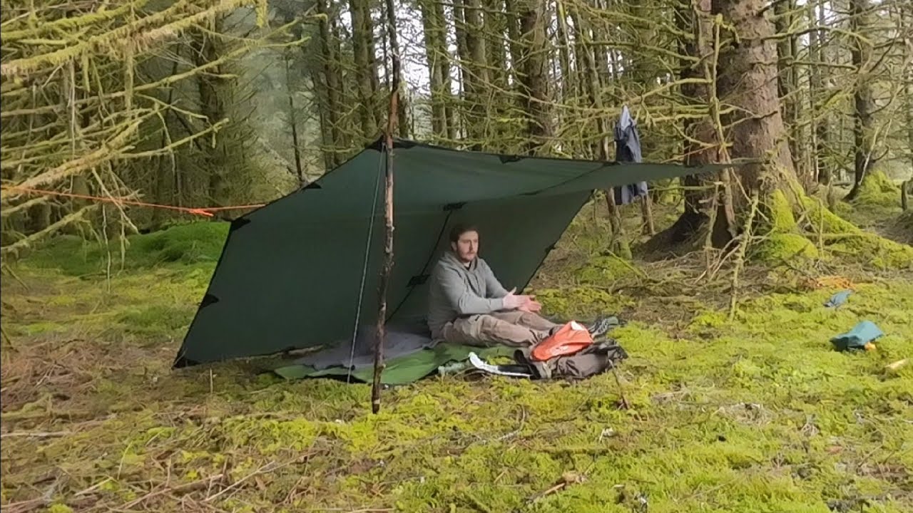 Willd Camping under a tarp in a forest covered in moss #tarpology # ...