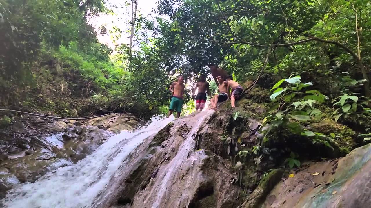 Pato saltando - YouTube