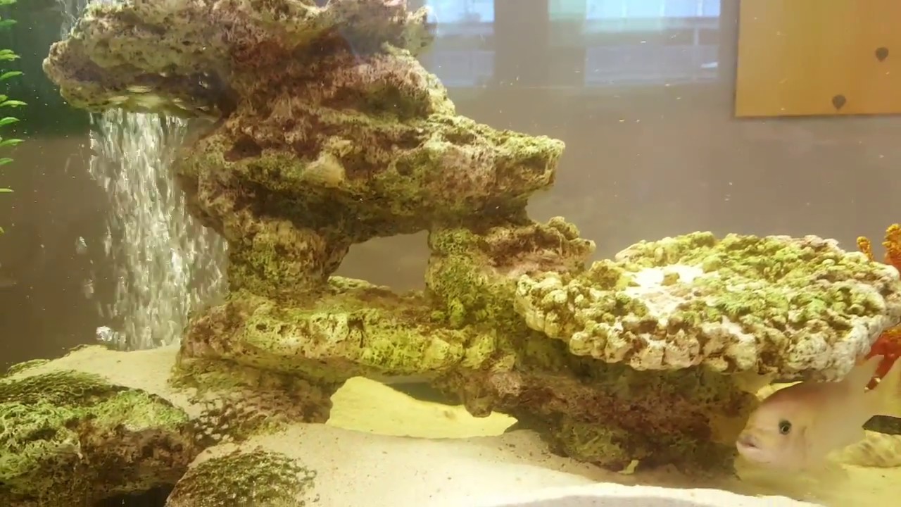 Beautiful aquarium rocks for Cichlids - YouTube