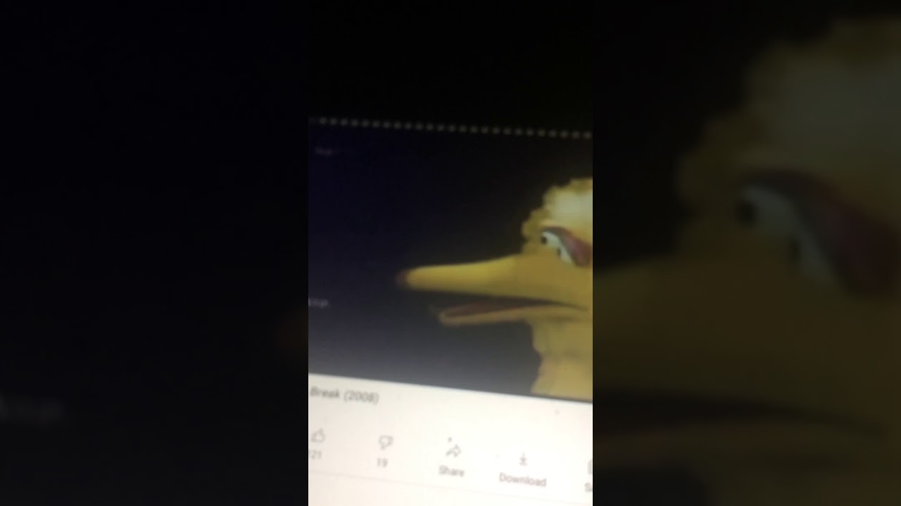 Sesame Street Toodle Loo/Sesame Workshop (2008) - YouTube