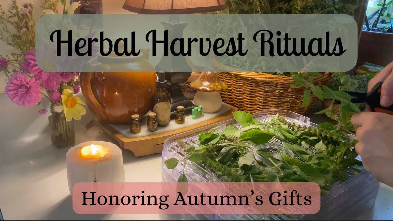 Herbal Harvest Rituals: Honoring Autumn’s Gifts - YouTube