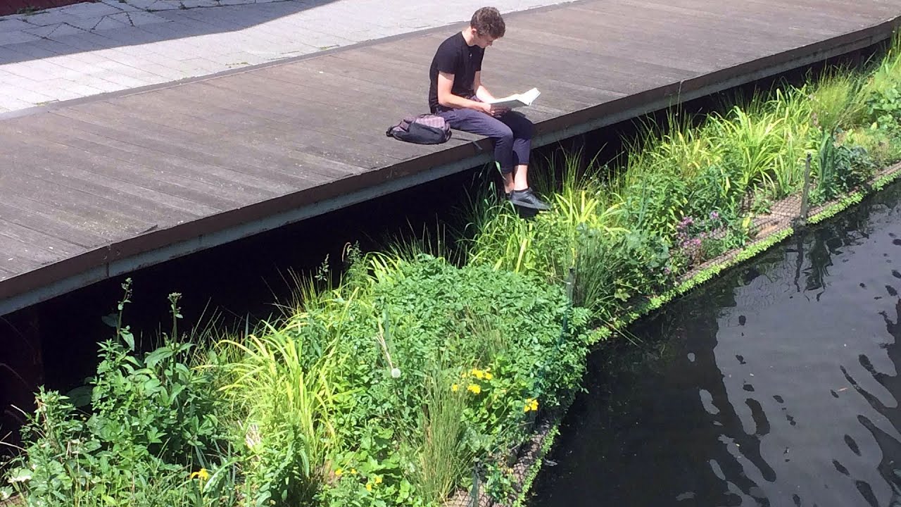 Water Restoration Before & After Inspiration - YouTube