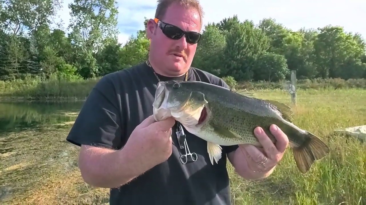 Big Largemouth Bass Makes 5 Gallon Bucket Look Small - Bass Fishing ...