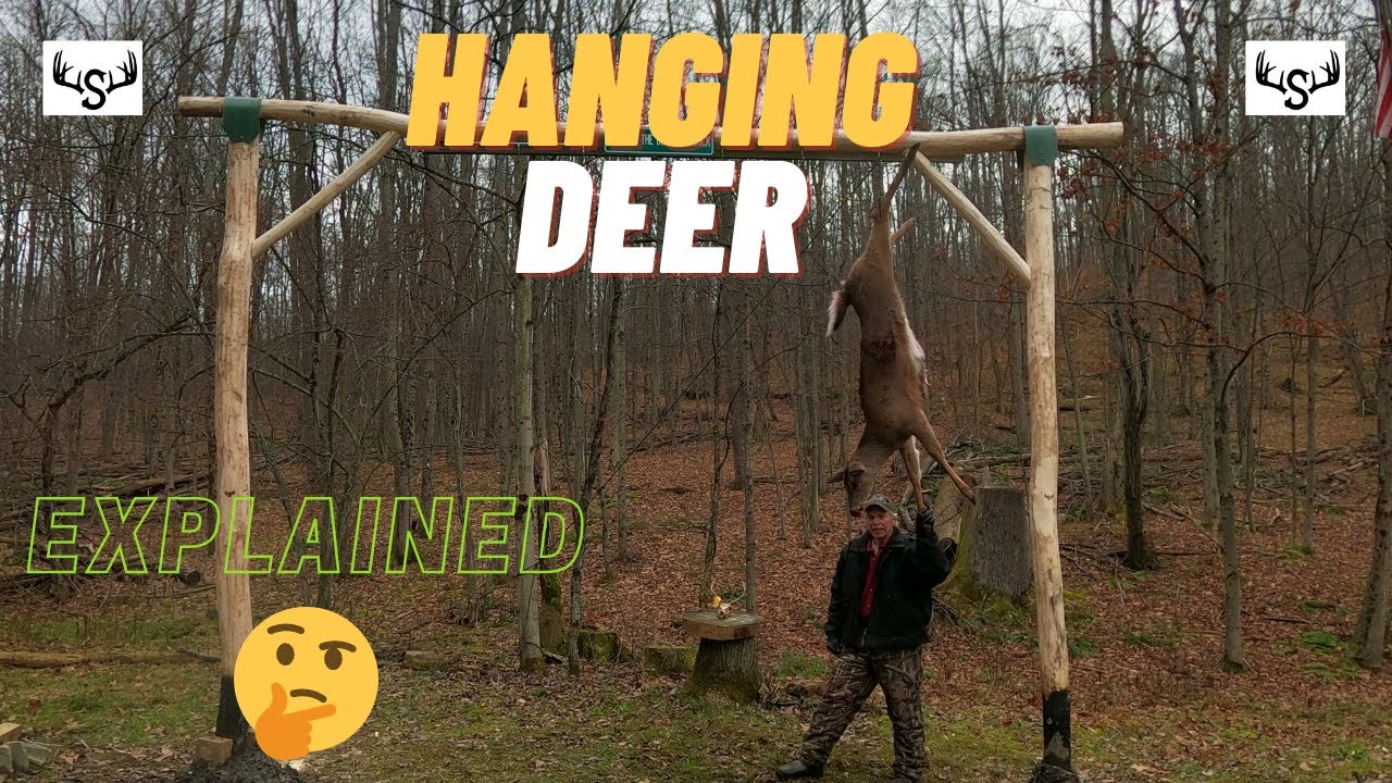 Hanging Deer Off Grid...The explanation of the Buck Pole. - YouTube