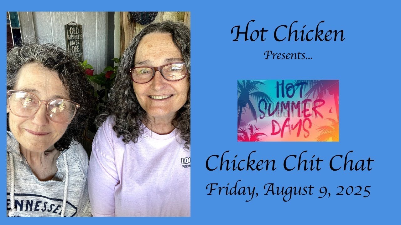 CHICKEN CHIT CHAT, August 8, 2025 - YouTube