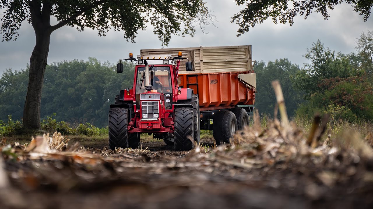 Mais hakselen / International 1455 XL + Massey Ferguson + John Deere ...