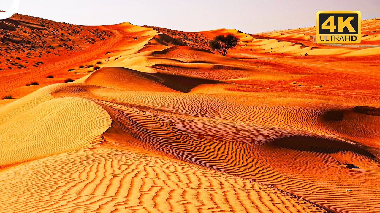 The Kingdom of Red Sands: Oman | 4K Nature Documentary - YouTube
