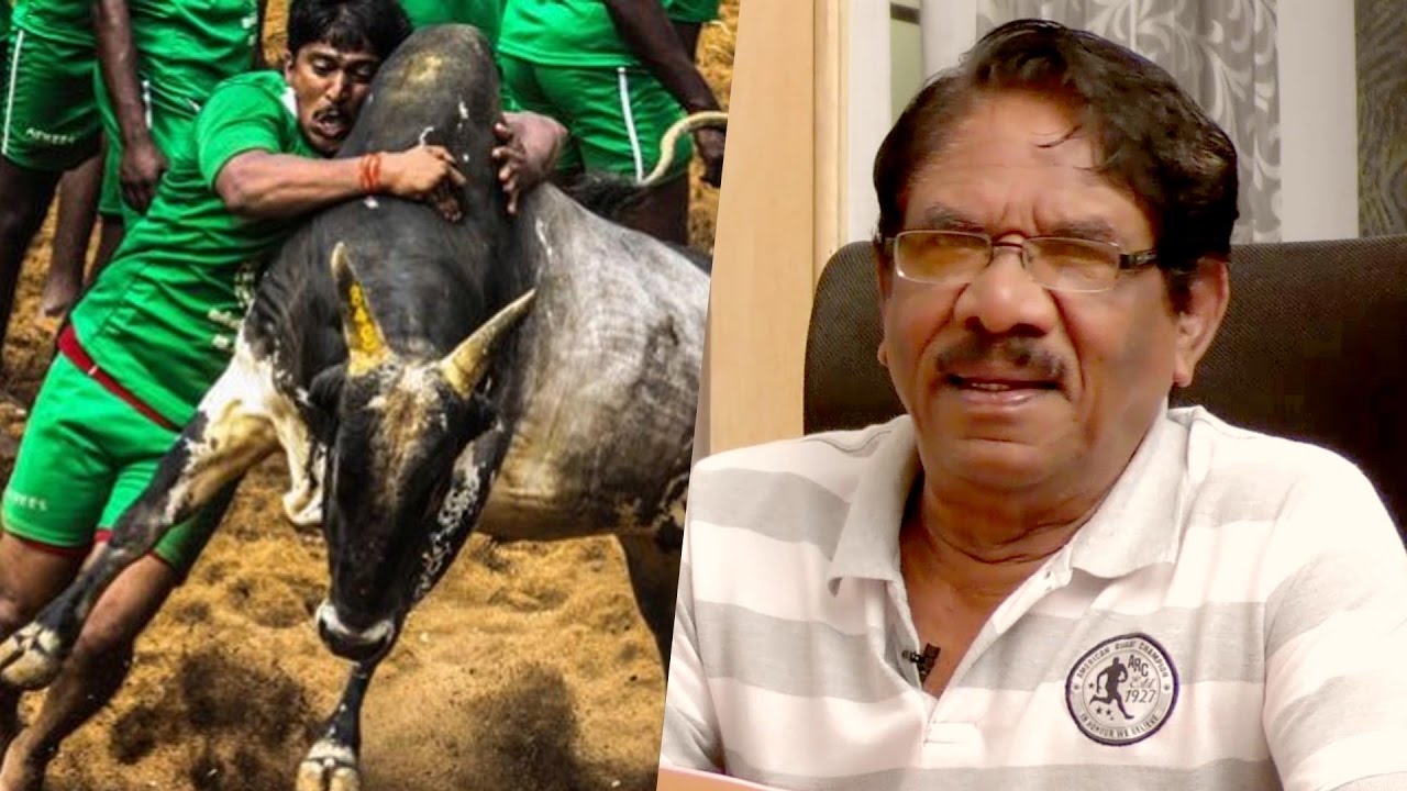 From Manu Needhi Chozhan to Android Youth! | Bharathiraja on Jallikattu ...